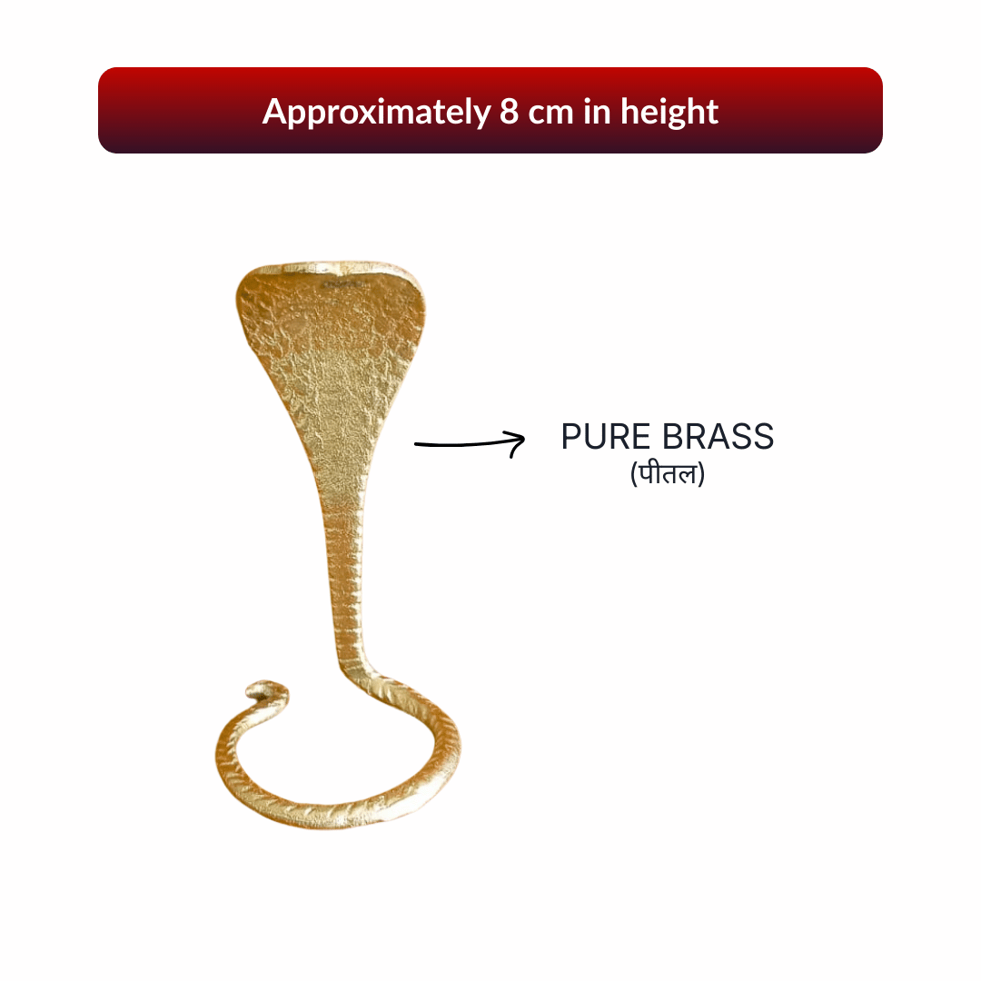 Pure Brass Naag for Banalingam (Gold Color) – Taatvik